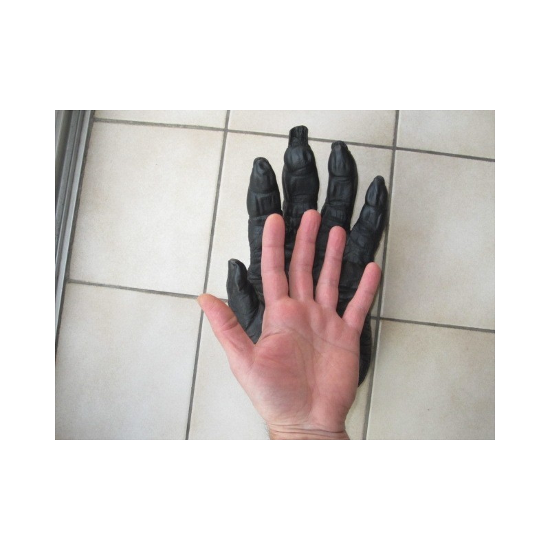 main gauche de gorille africain