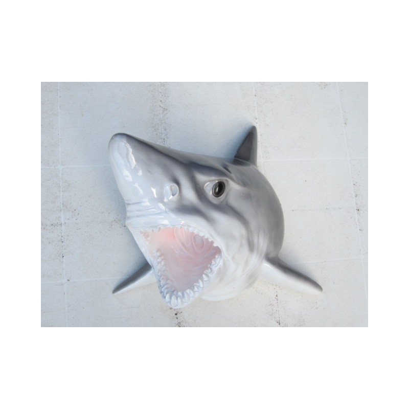tête requin